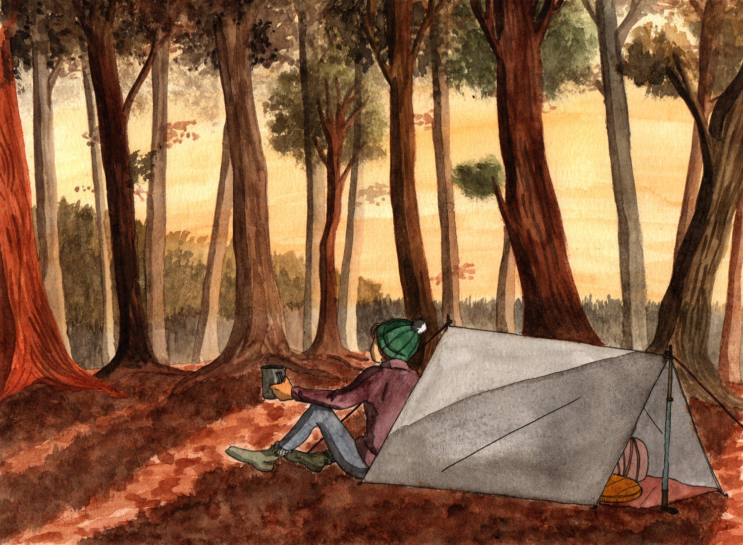 Illustrations – Coline Peyrony